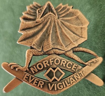 NORFORCE – Hat Badge – Current Issue – Welcome to Australian Militaria ...