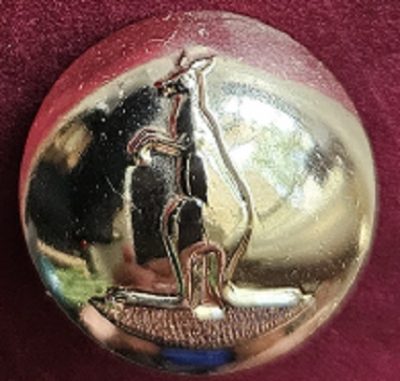 Button – Australian Army – 42nd Battalion (Capricornia Regiment) (Large ...