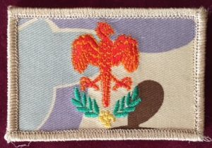 RAAOC – Petroleum Operator Qualification Patch – DPDU – Welcome to ...