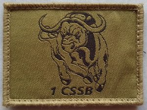 Barracks Patch – 1st Combat Services Support Battalion (Field Patch ...