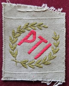 Physical Training Instructor (PTI) Qualification Patch – Khaki ...