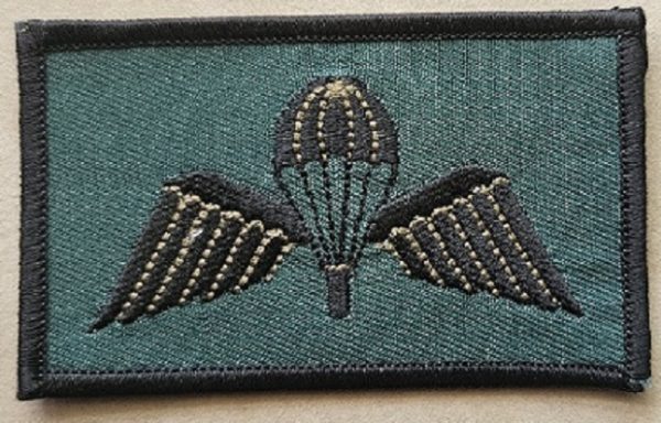 PNGDF Parachute Qualification Wings Patch – Welcome to Australian ...