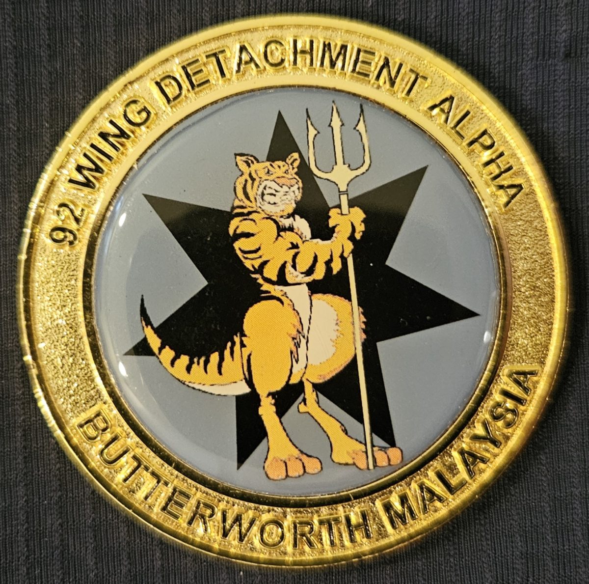 Challenge Coin – 92 Wing Detachment Alpha Butterworth Malaysia ...