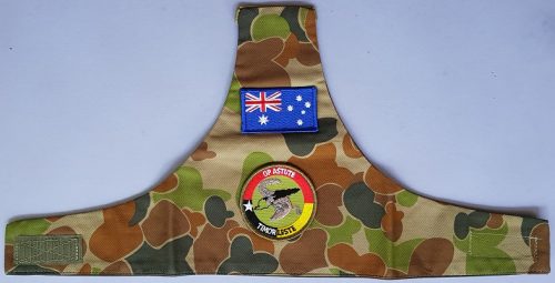 Brassard – Operation Astute (East Timor) (DPCU) – Welcome to Australian ...