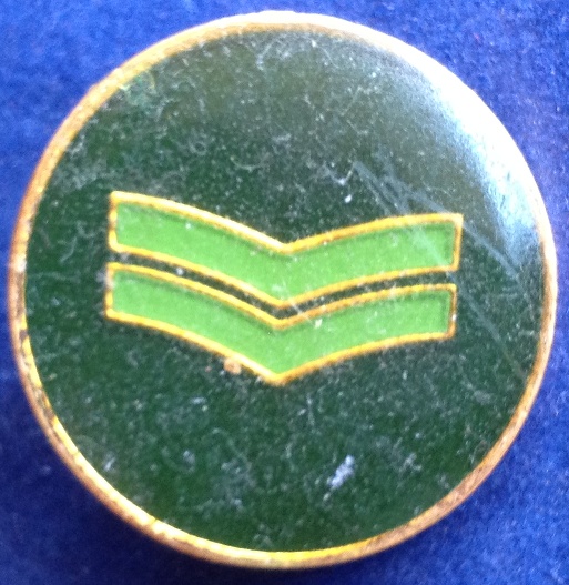 Badges – Post 1960 (WRAAC) – Welcome to Australian Militaria Sales