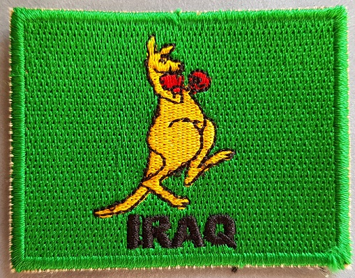 Force Level Logistic Asset (FLLA) – Operation Catalyst Iraq Deployment ... Force Level Logistic Asset (FLLA) – Operation Catalyst Iraq Deployment ...